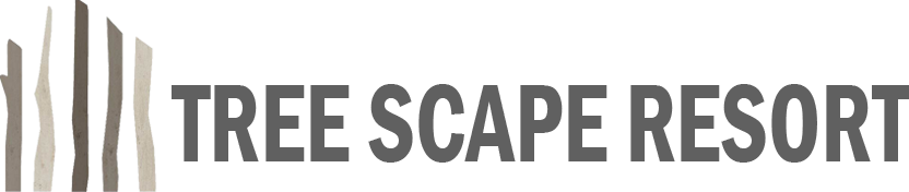 Tree Scape Resort – Love The Trees – Love The Moss – Love The Nature